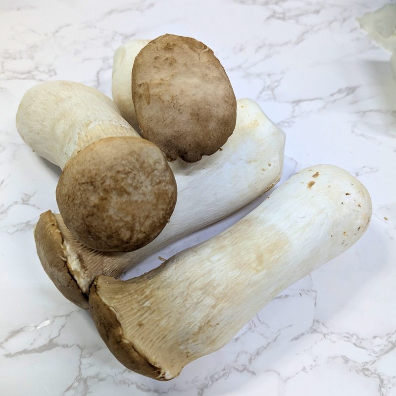 King Oyster (Extra Large) – Golden Cap Farm